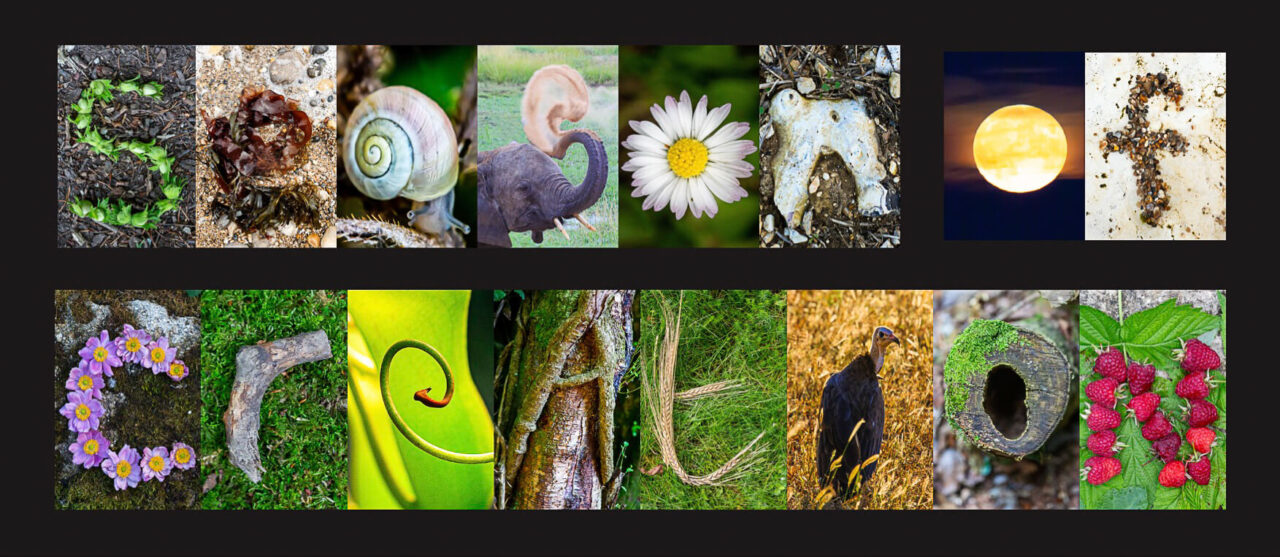 Hope and Act with Creation: Celebrating the Season of Creation, 1st ...